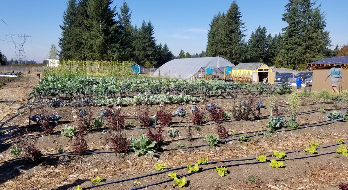 Elk Run Farm – South King County Food Coalition